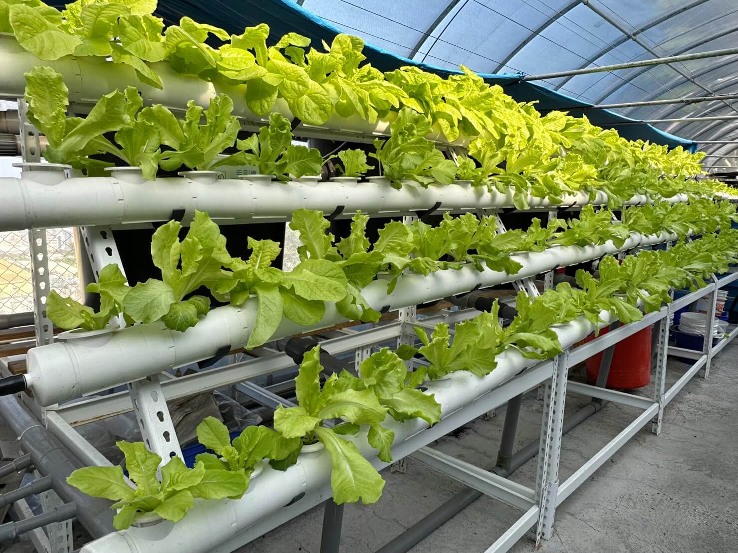 Contact us - Sunright Foods